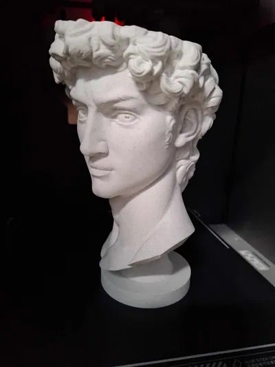 David planter | simple3DprintsAUS